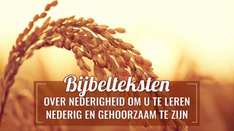 Nederigheid in de Bijbel – Bijbelverzen over nederigheid | Online ...